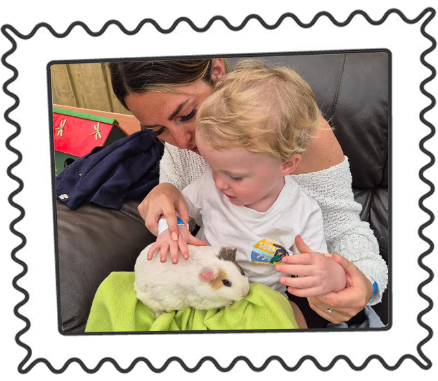 Animal Experiences - Madjeston Animal Park